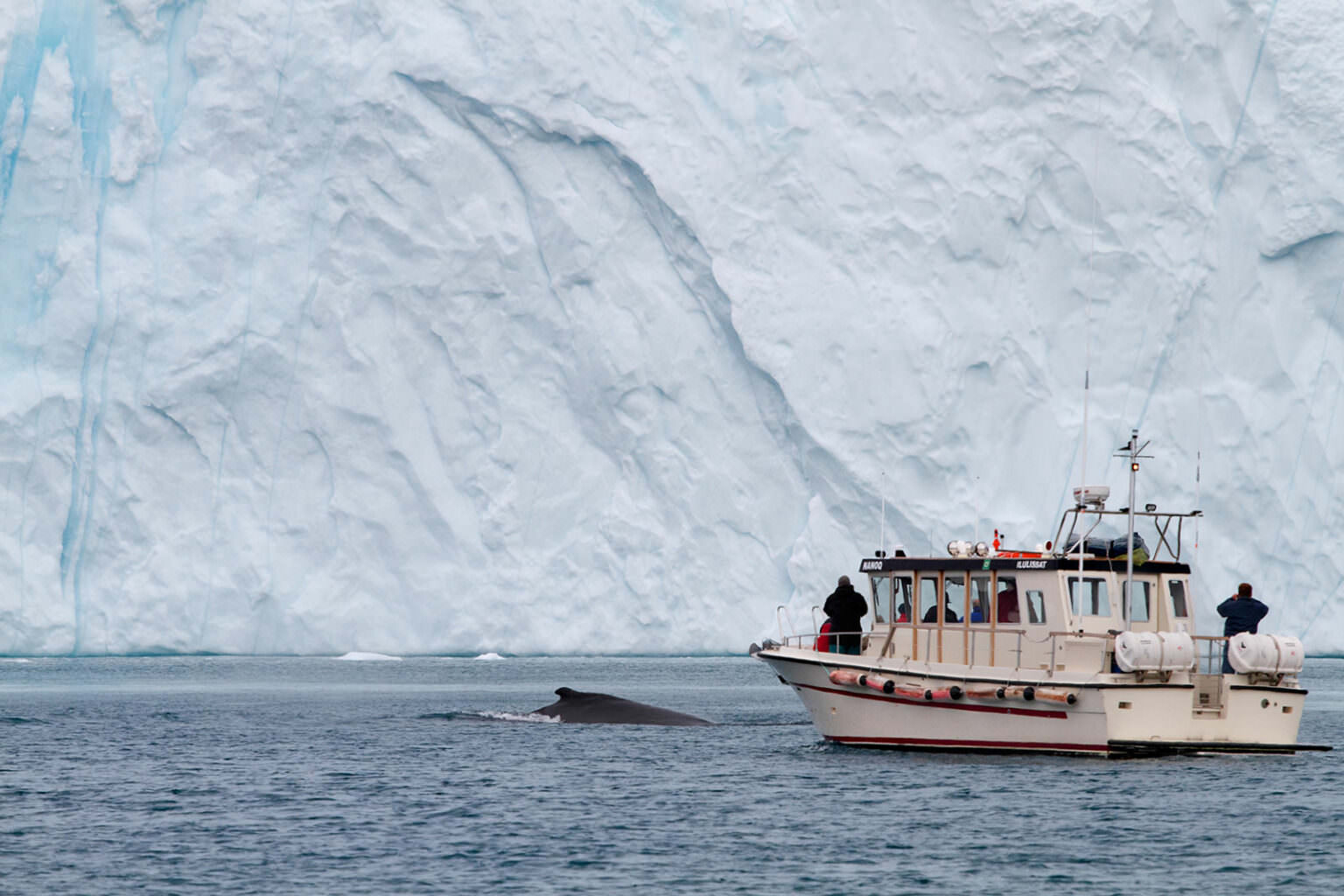 Disko Bay – Arctic Excursions
